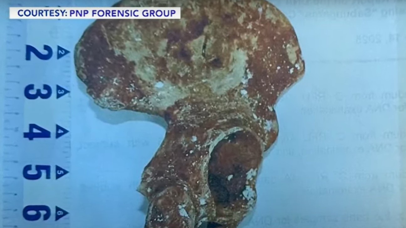 Bones from Taal Lake could be from 1 person, says PNP | GMA News Online