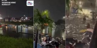 NLEX | Tracking | GMA News Online