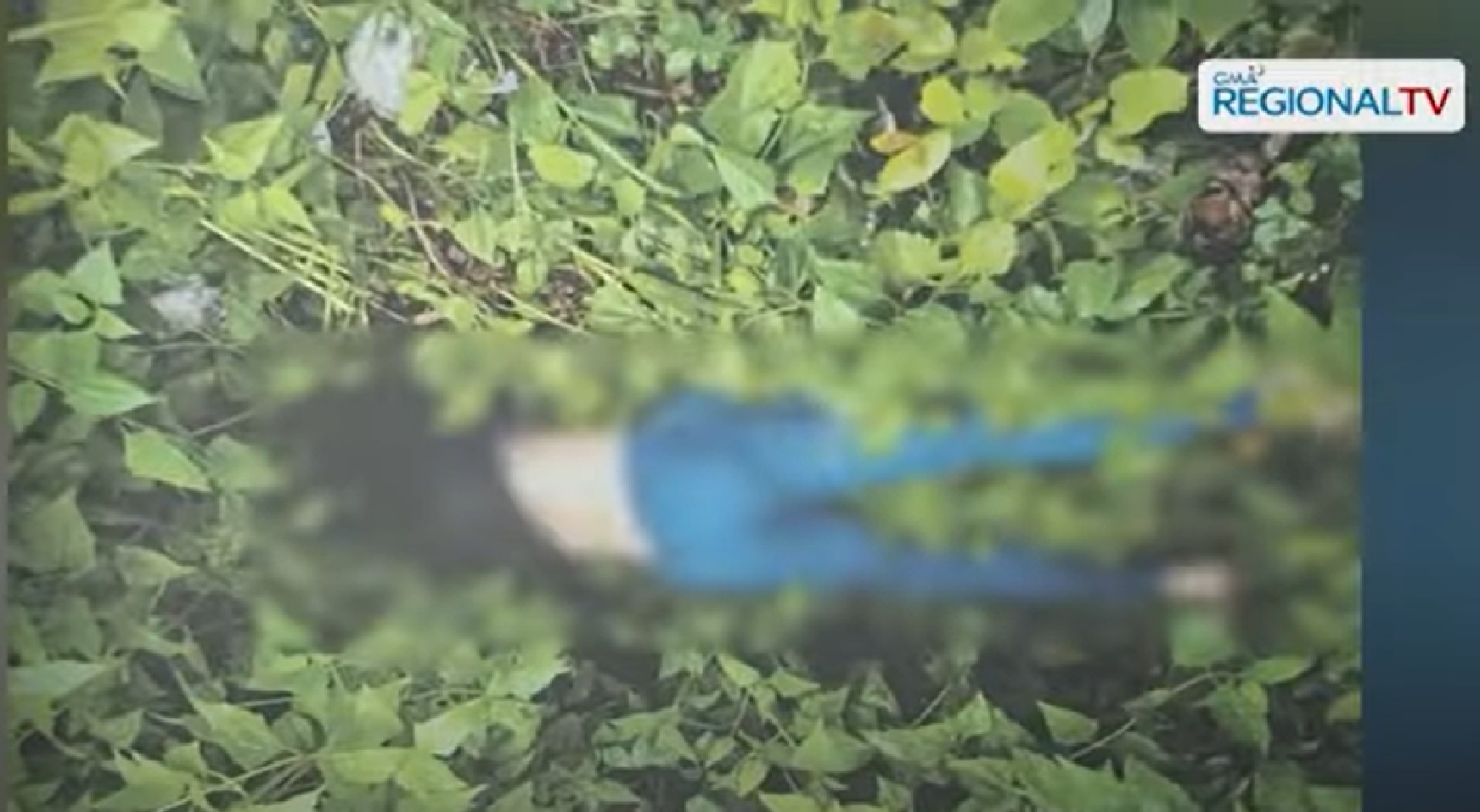 Pulis na may asawa, suspek sa pagpatay sa nobya na nakita ang bangkay sa Pangasinan | Balitambayan