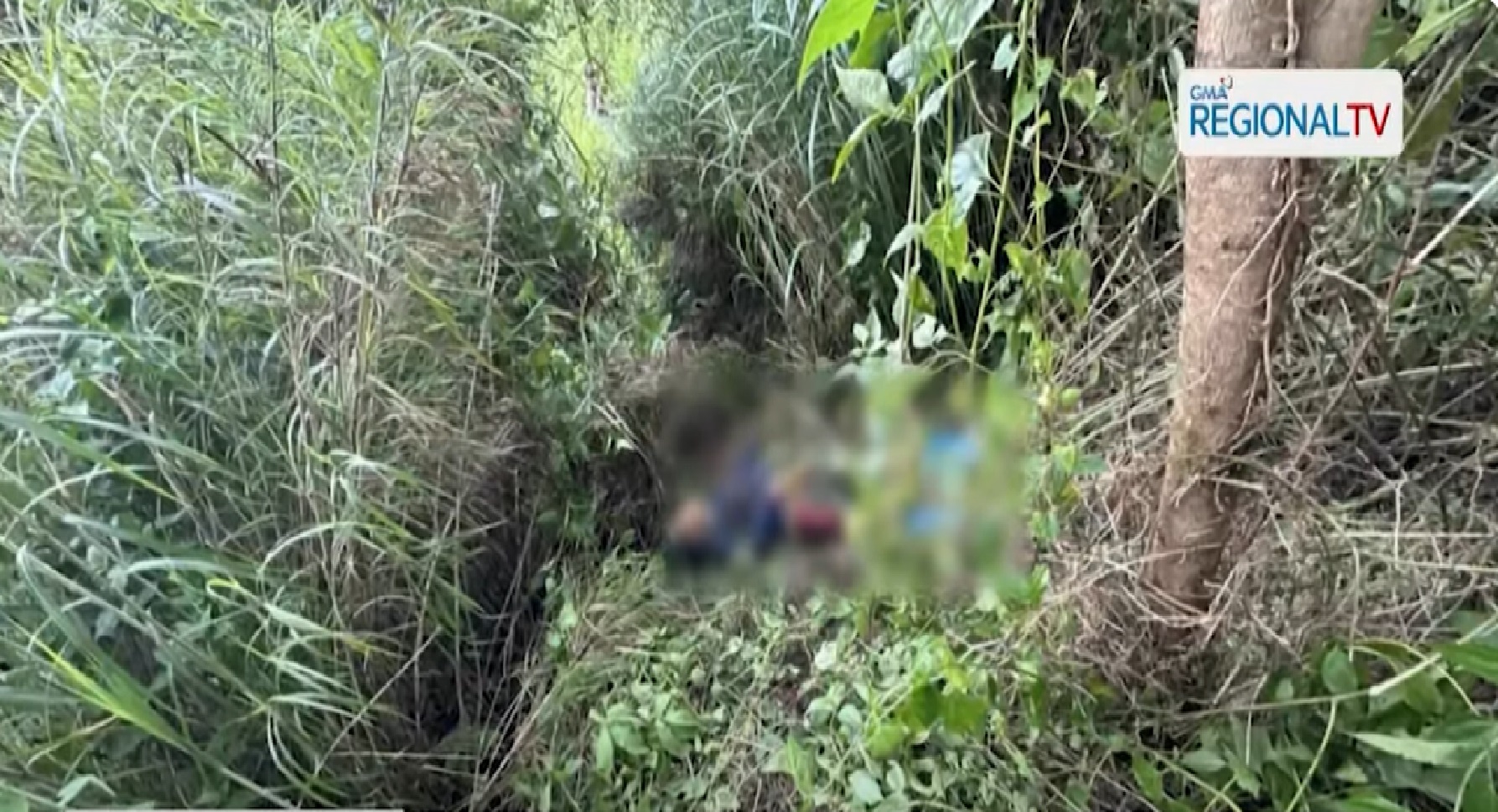 Hunter na napagkamalan umano ng kasama na baboy-damo, patay matapos mabaril | Balitambayan