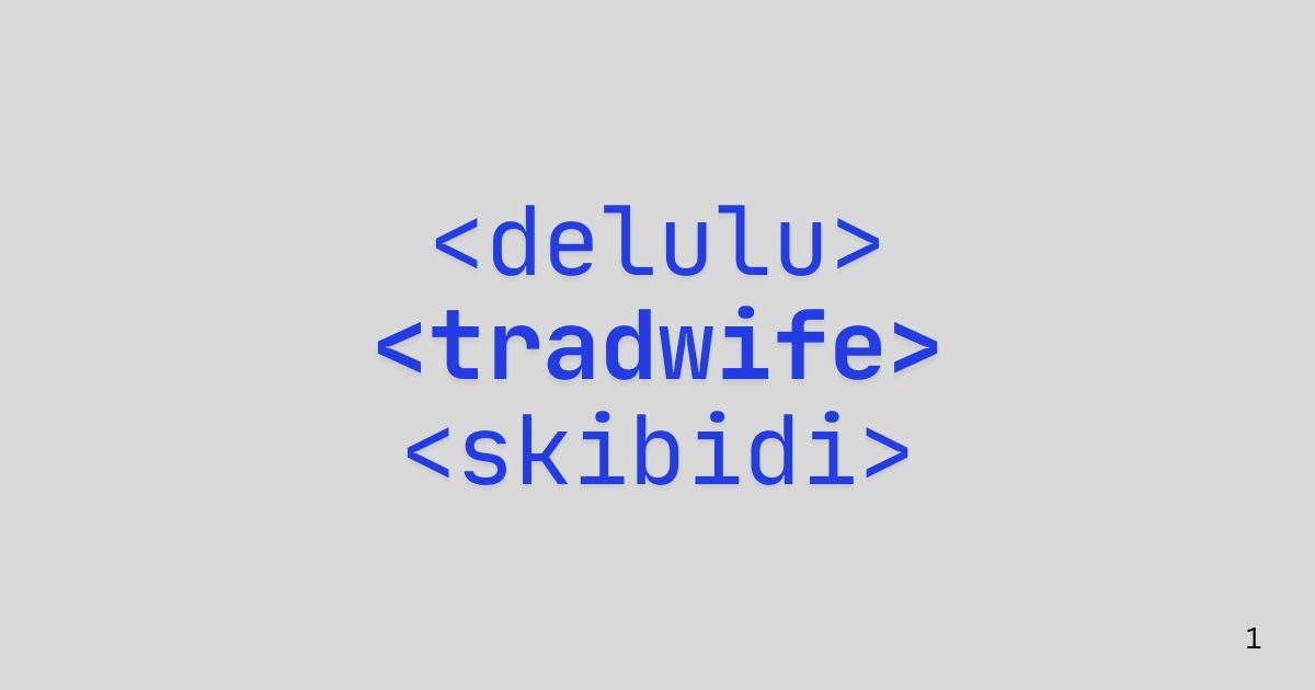 'Delulu,' 'Skibidi,' 'Tradwife' among new words added to Cambridge Dictionary | GMA News Online
