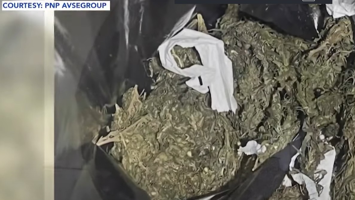 Over 50 grams of marijuana found in NAIA T2 trash bin | GMA News Online