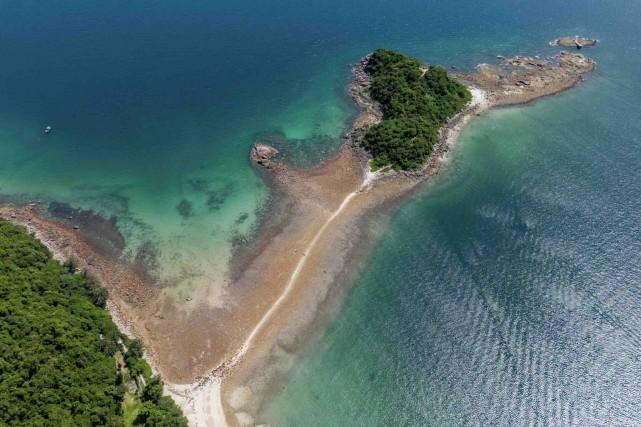 Reach Your 10,000 Steps: Exploring Hong Kong's Hiking Trails and Island ...