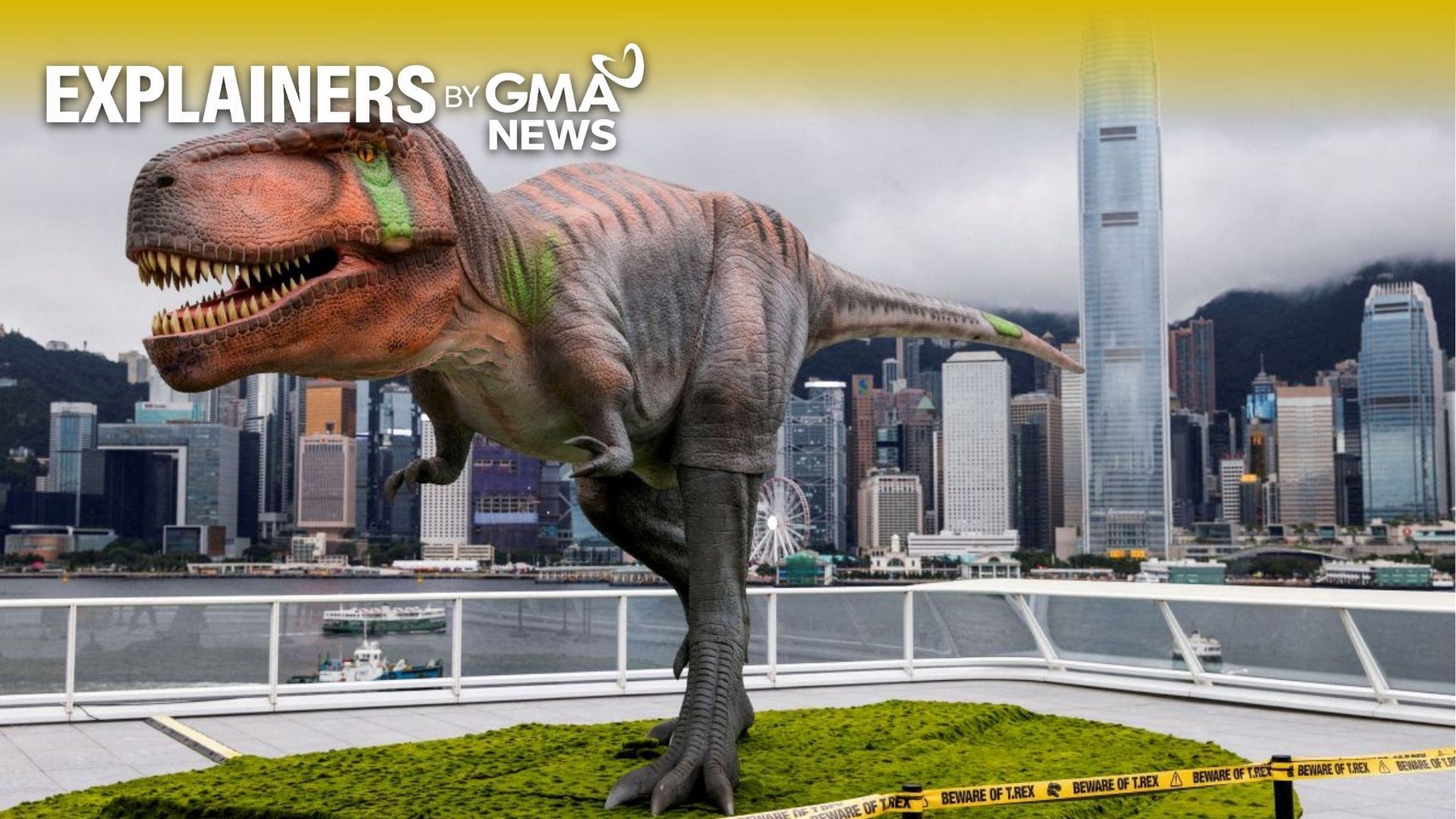 EXPLAINER: Here's how Tyrannosaurus ended up with a big head and small ...